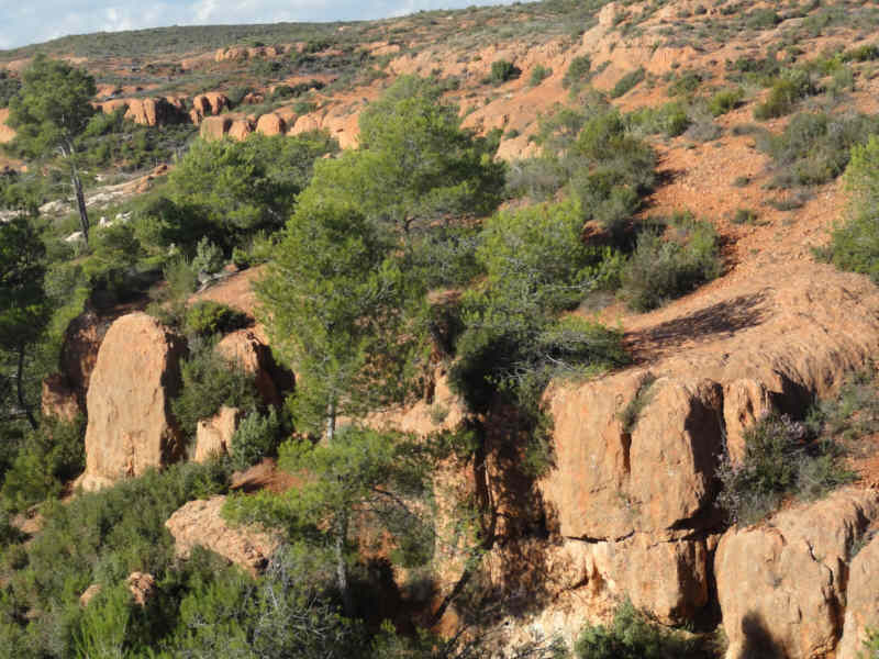 Les roches rouges aux Pennes Mirabeau 2012
